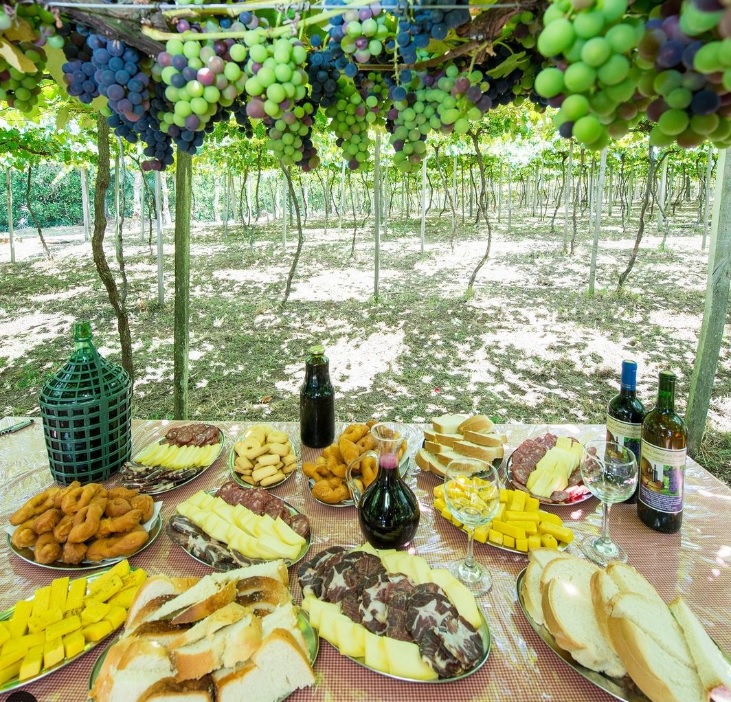 Vindima em Gramado: veja a programação - Gramado Blog